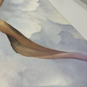 Storage & Organization | Georgia Okeeffe In The West Culmination Of ...